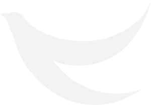 About Us – alrawaf